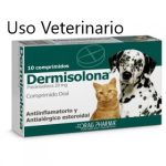 DERMISOLONA 20 MG X 10 COMPRIMIDOS – FARMACIAS CHILE SPA